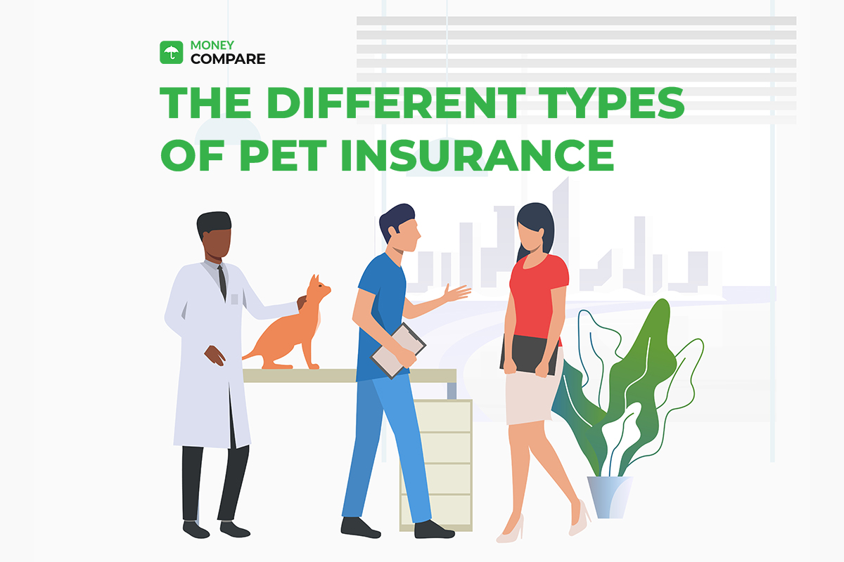 The Different Types of Pet Insurance